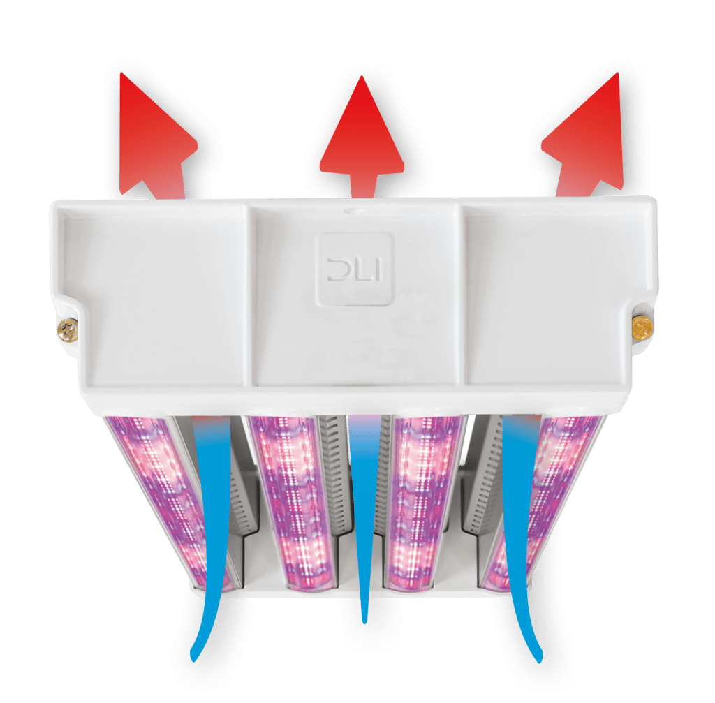 DLI APEX-Series LED Toplight - DLI